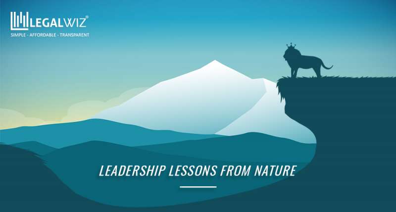 4 Leadership lessons to learn from nature - LegalWiz.in